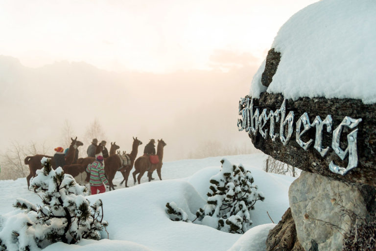 Lama-Trekking mit Llamero Horst - Silberberg GmbH Montafon